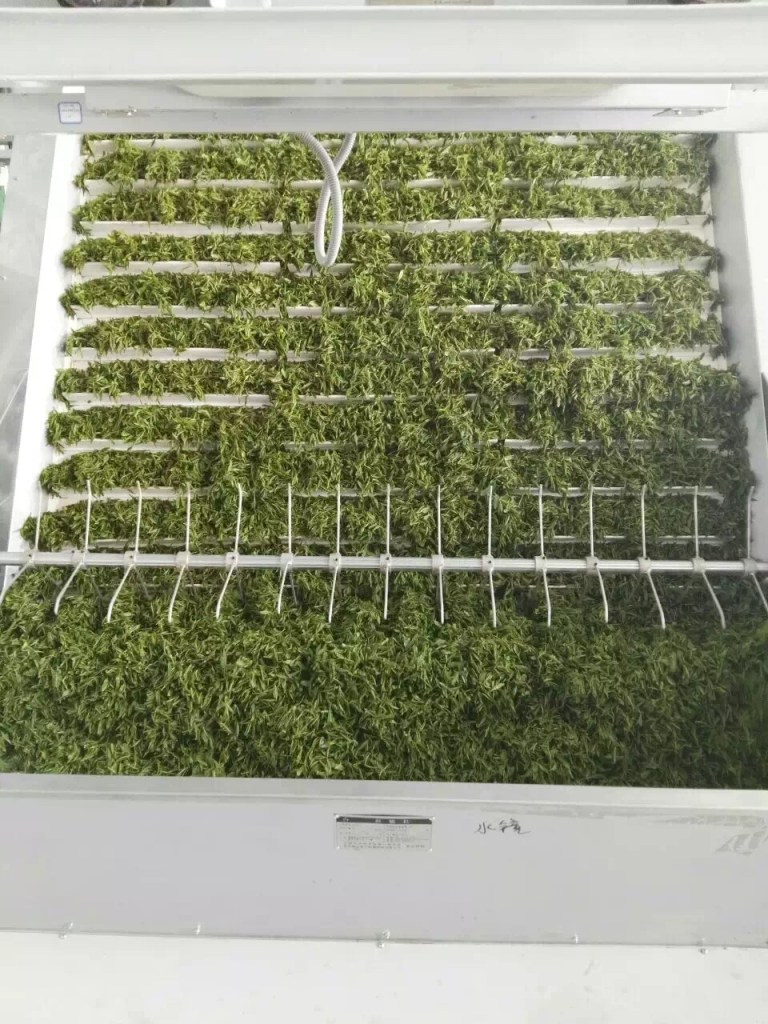 Green Tea Chemistry 101: Key Compounds for Flavor Quality – Wu Mountain Tea