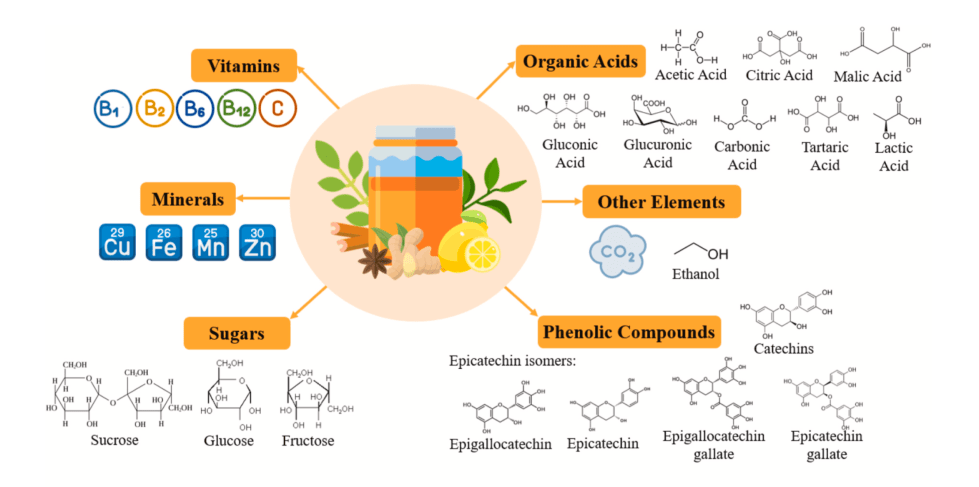 Kombucha Tea: The Ultimate Guide to its Health Effects – Wu Mountain Tea
